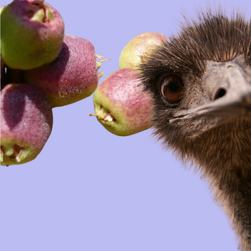 World's #1 Natural Hair Gel for Kids | Joy without Chemicals – No ...